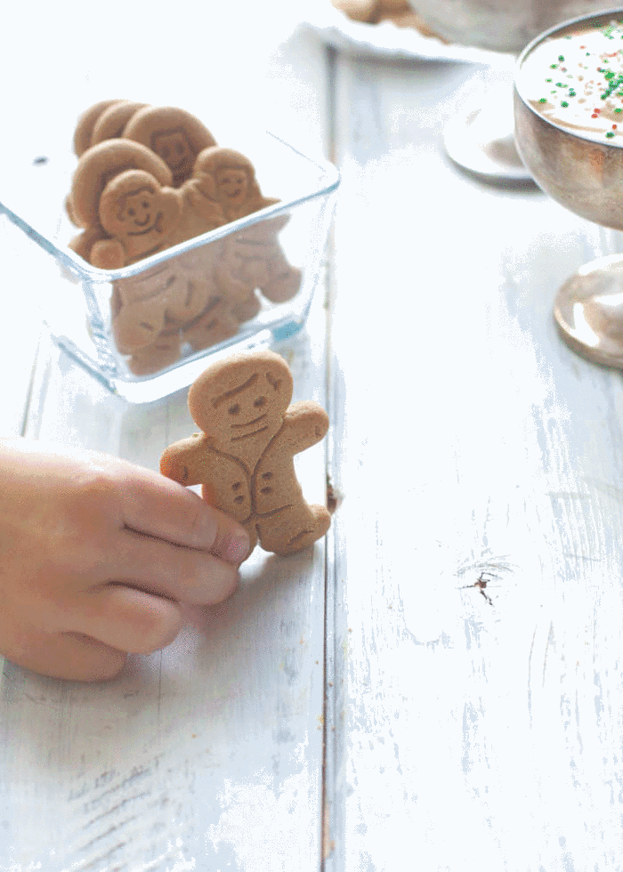Greek Yogurt Gingerbread Dip! The perfect dip for your holiday party ...